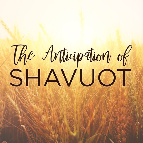 The Anticipation of Shavuot | Jewish Voice